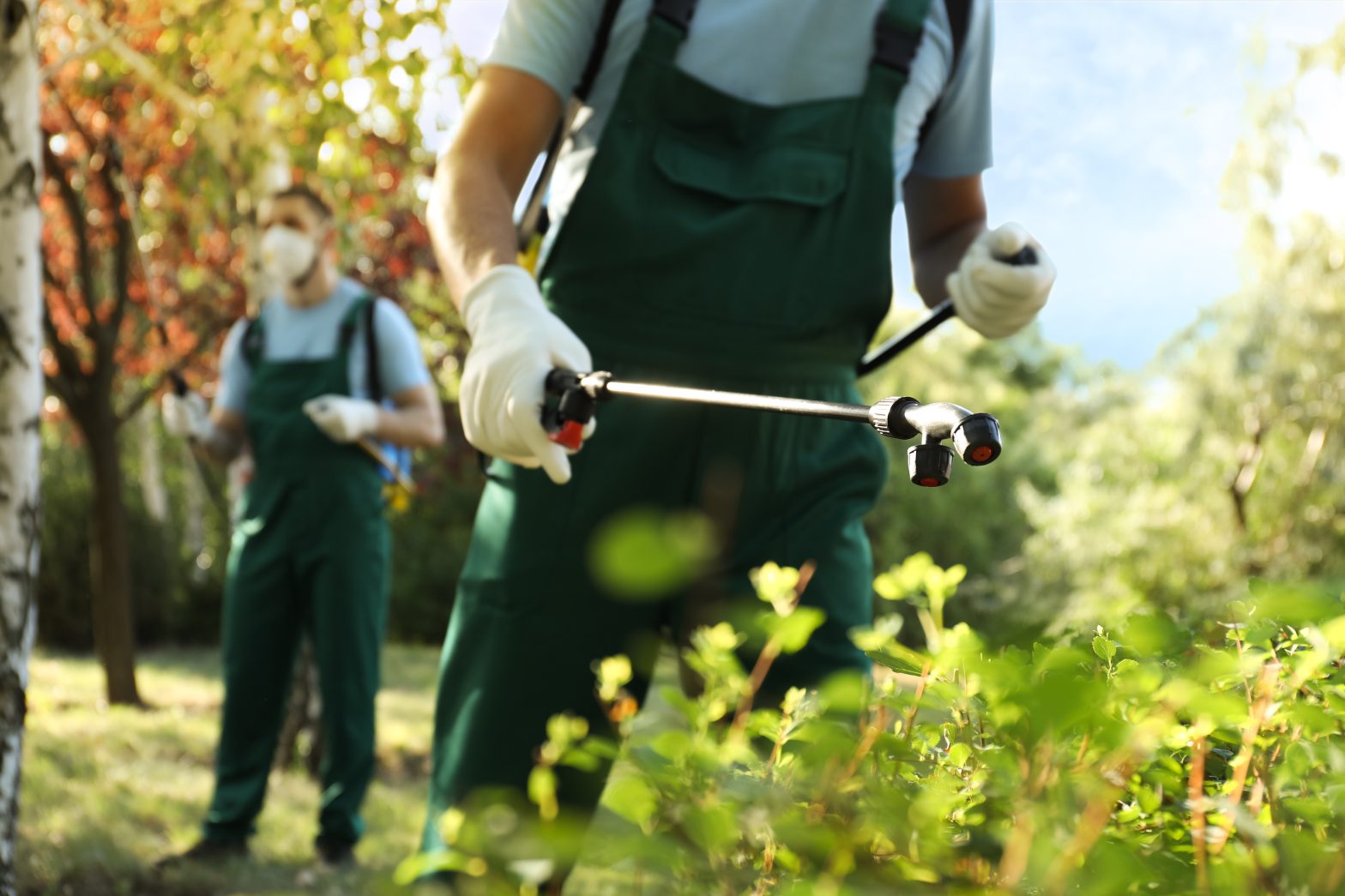 EZ Pest Control Miami Dade Broward West Palm Beach